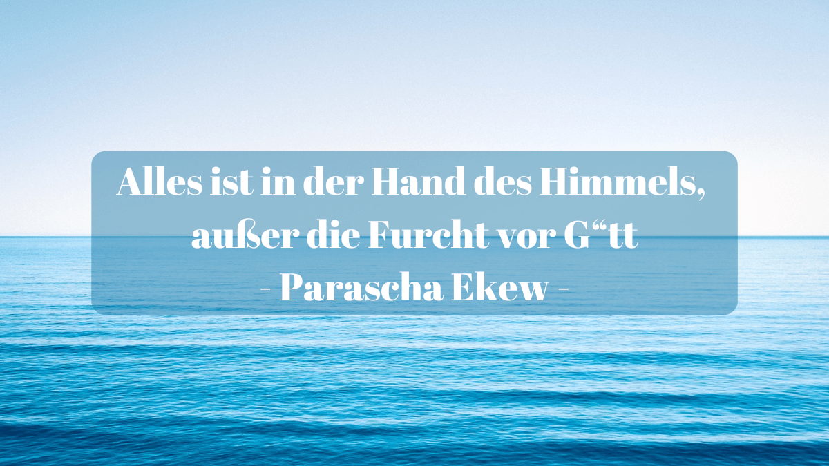 Alles ist in der Hand des Himmels, außer die Furcht vor G“tt - Parascha ...