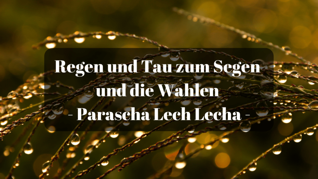 Regen und Tau zum Segen und die Wahlen - Parascha Lech Lecha - Judentum