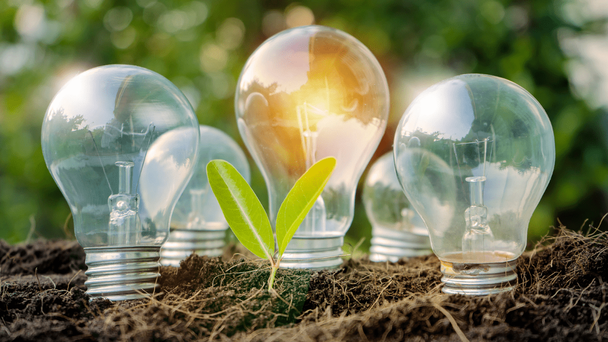 Die Quelle unseres Talentes zur Erneuerung - Parascha Waera - Judentum